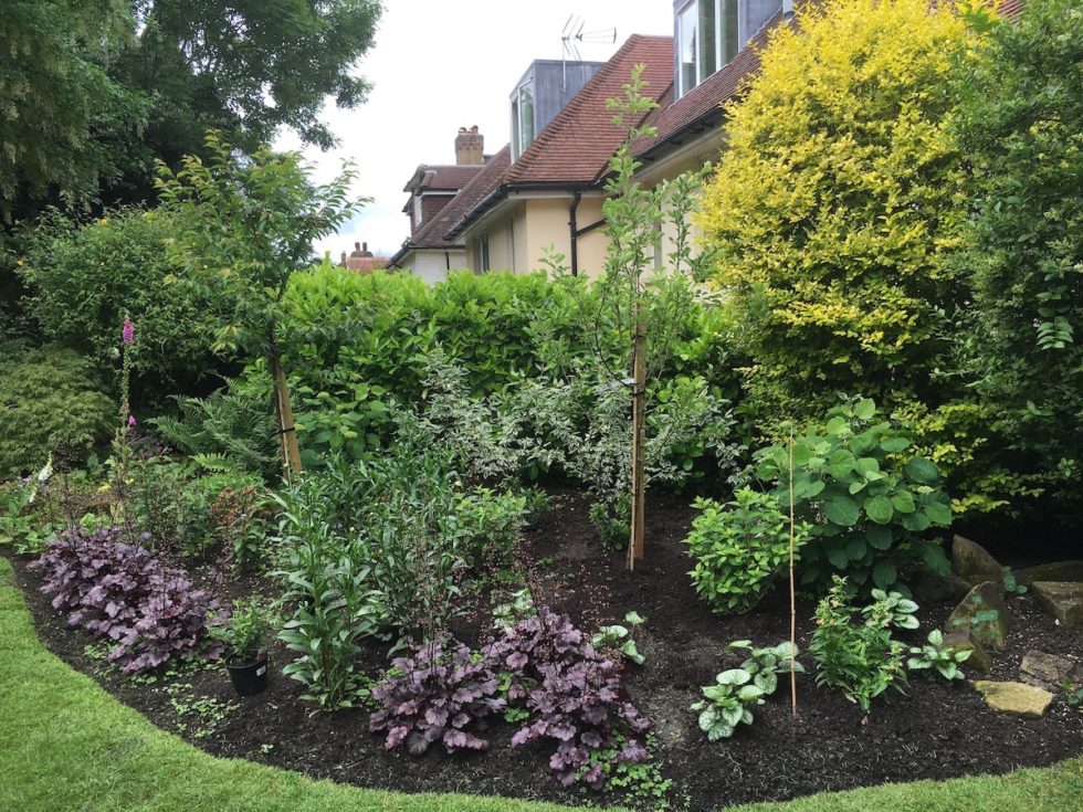Small Border-Wimbledon - Berrie Garden Design
